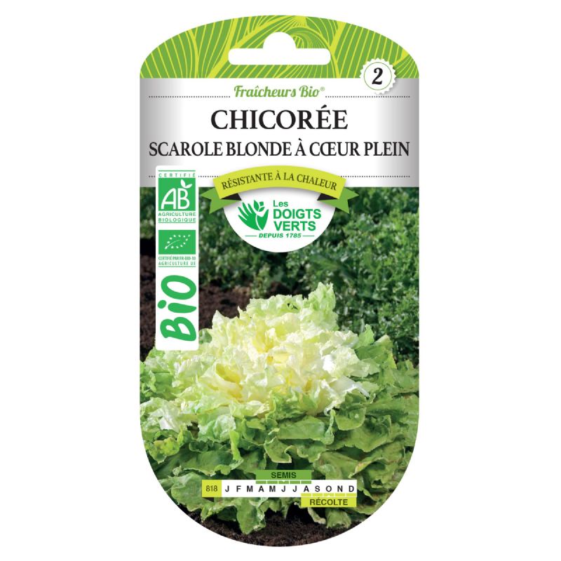 Graines Chicorée scarole blonde cœur plein BIO Les Doigts Verts ...