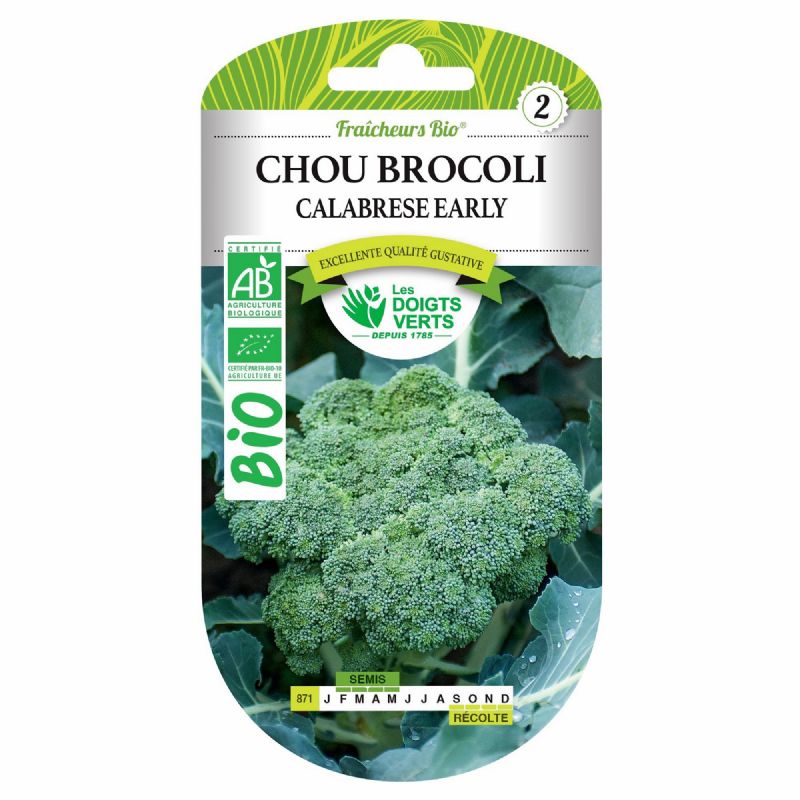 Graines chou brocoli Calabrese early BIO Les Doigts Verts - Provence ...