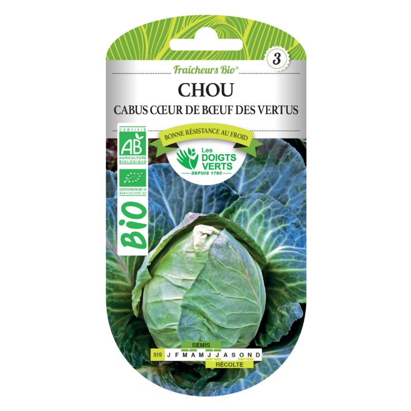 Graines chou cabus coeur boeuf des vertus BIO - Provence Outillage