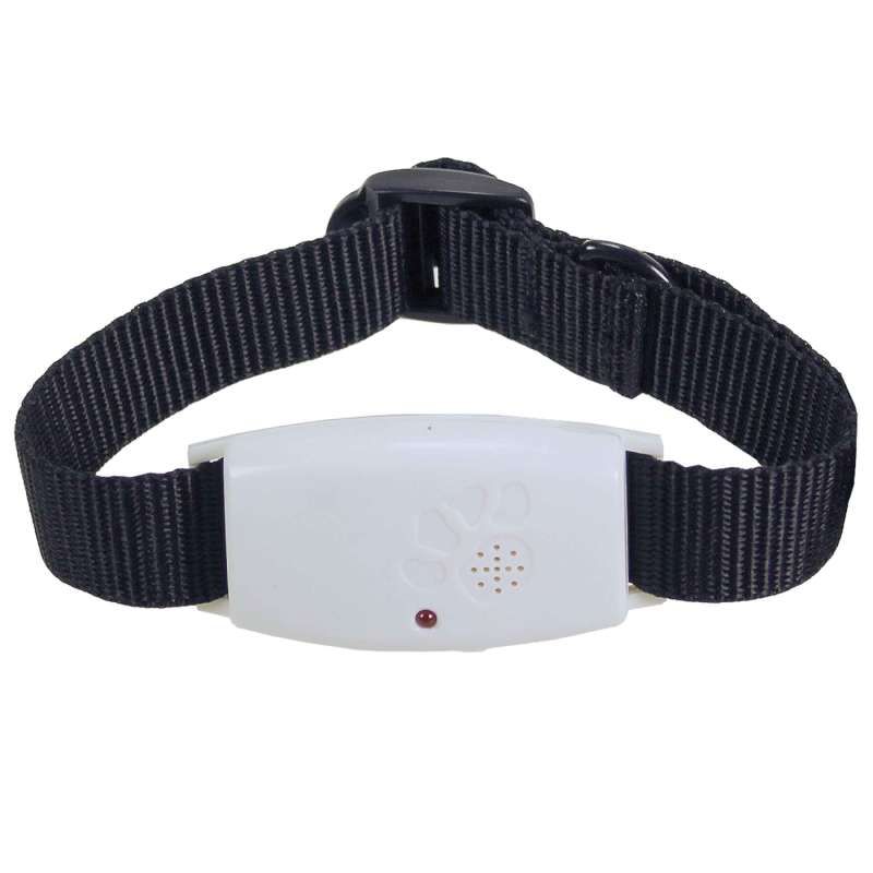 Collier anti puces - Provence Outillage