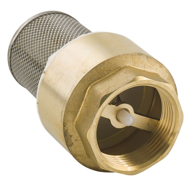 Crépine femelle en laiton avec clapet et tamis - Provence Outillage