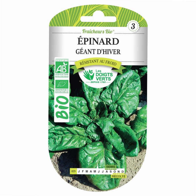épinard géant d'hiver BIO - Provence Outillage