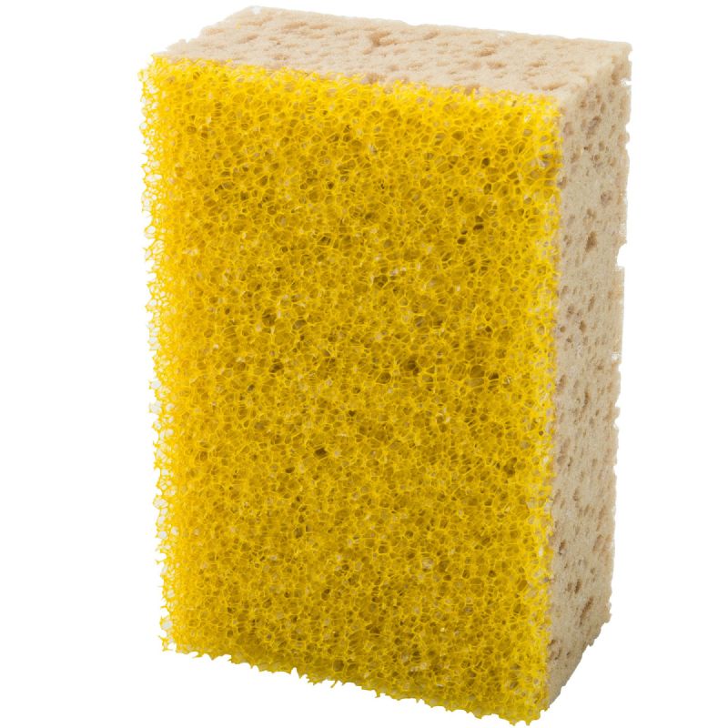 Eponge de lavage pour voiture spéciale insectes - Provence Outillage