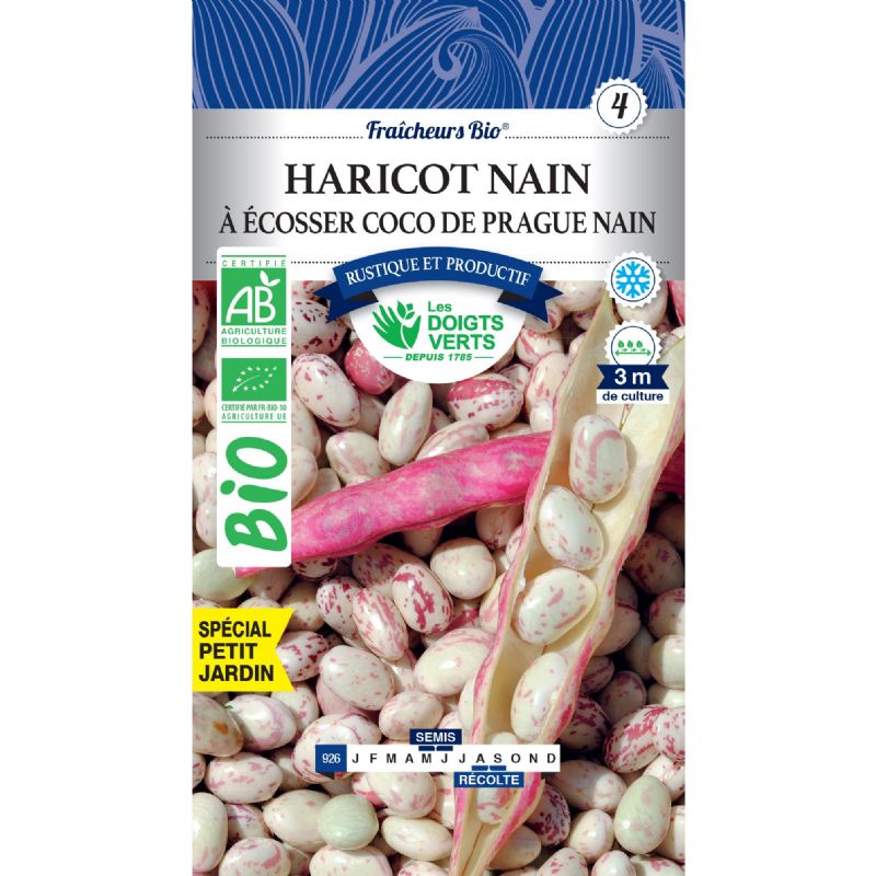 haricot nain coco rose de Prague BIO - Provence Outillage