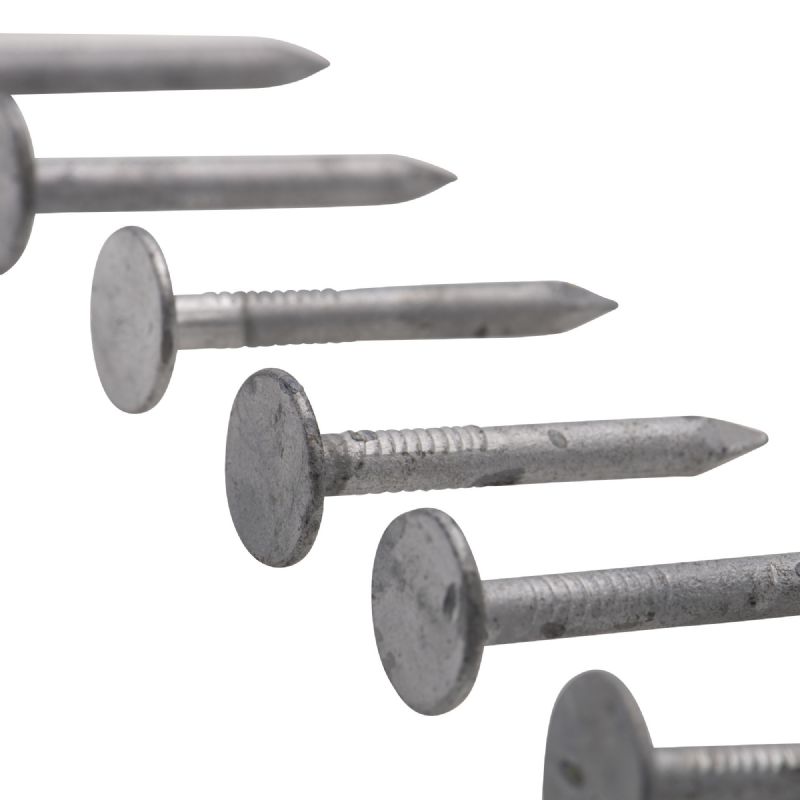 Pointe tête plate acier galvanisé Viswood - Provence Outillage