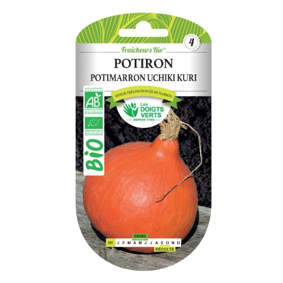 potiron potimarron Uchiki Kuri BIO - Provence Outillage