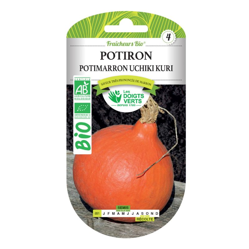 potiron potimarron Uchiki Kuri BIO - Provence Outillage
