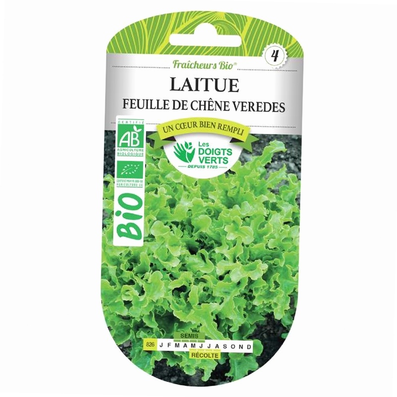 laitue feuille de chêne veredes BIO