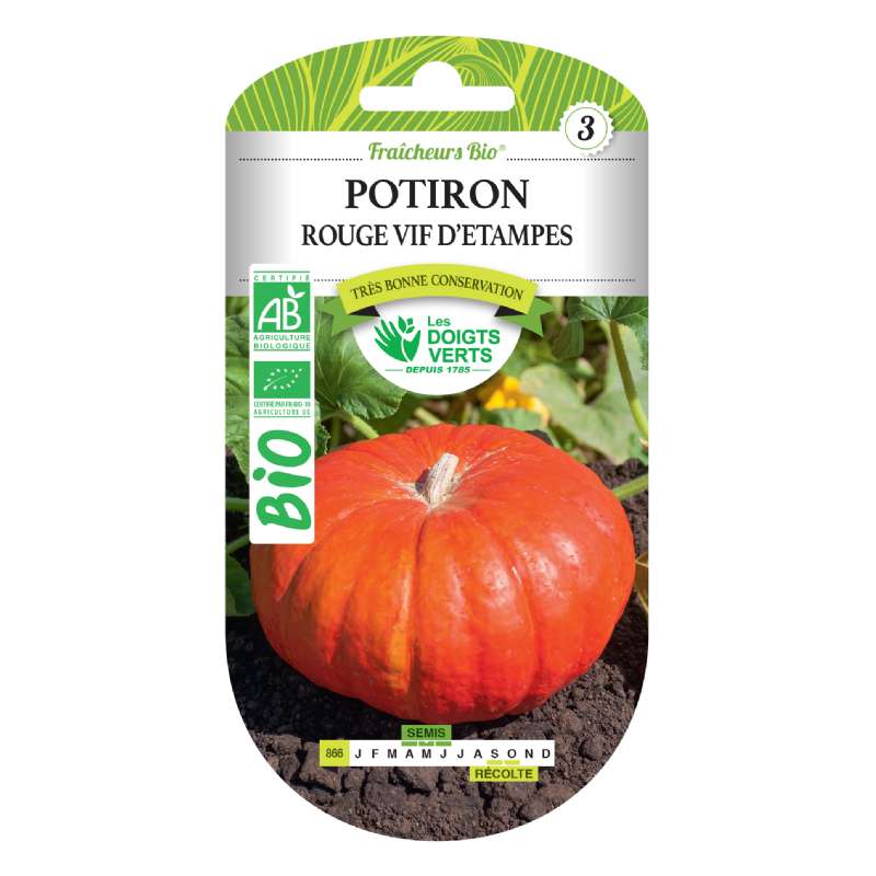 potiron rouge vif d'Étampes BIO